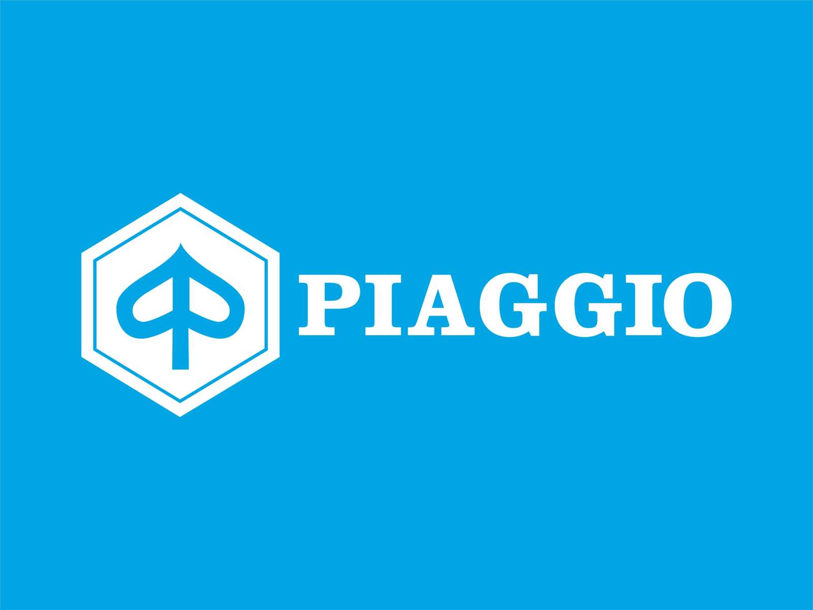 Piaggio Markenshop | mofakult
